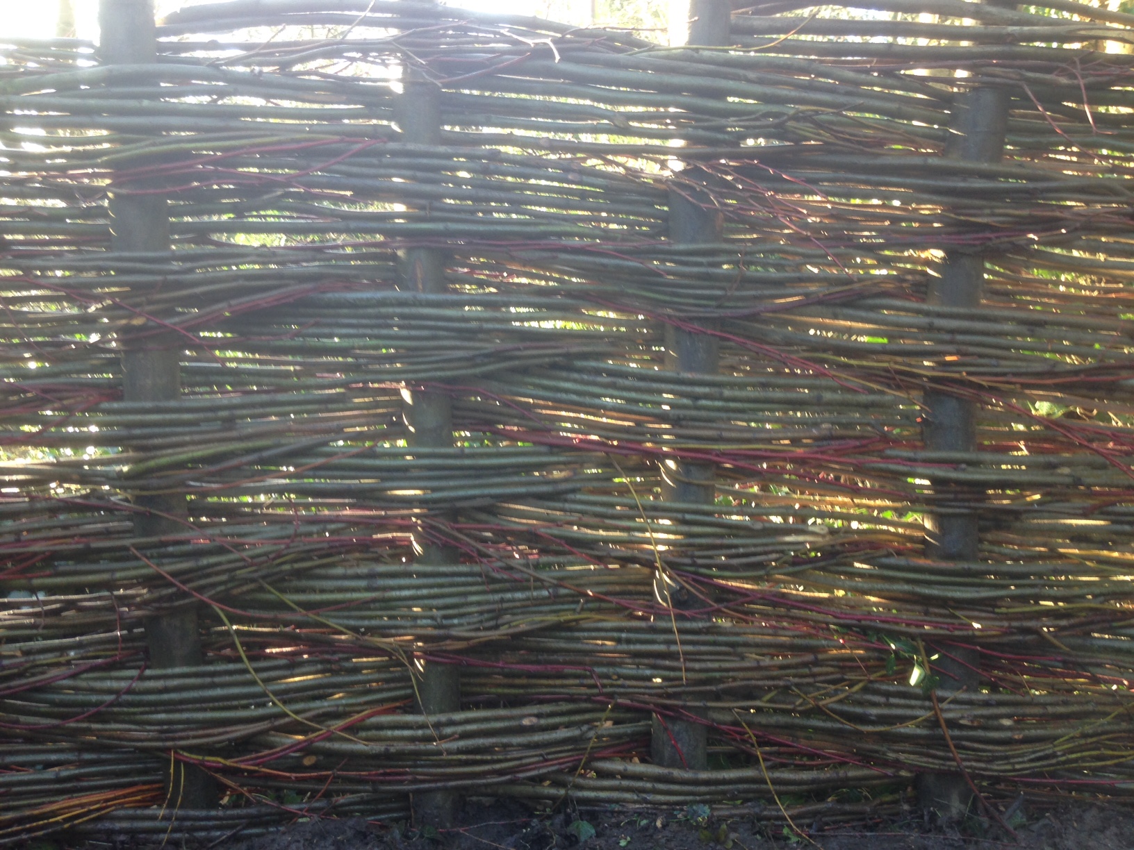 Rustic Willow Fencing - John Waller, Underwoodsman Green Wood Workshop Kent